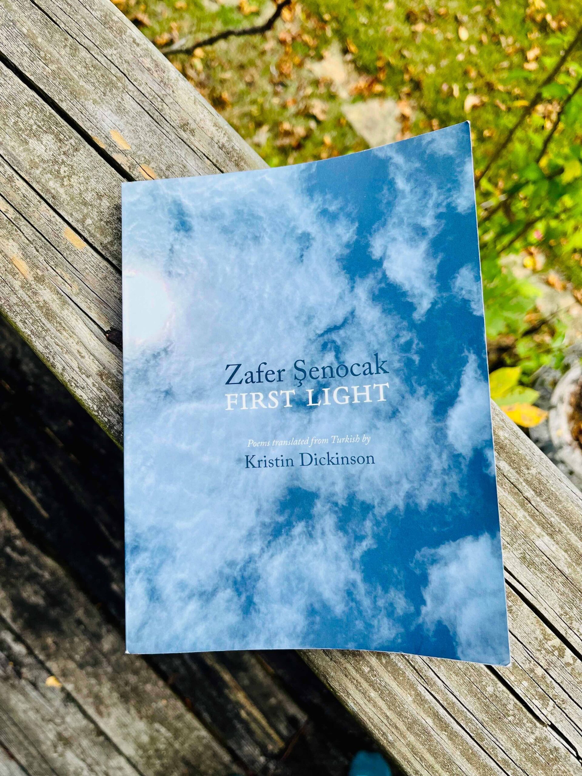 Review: First Light by Zafer Şenocak